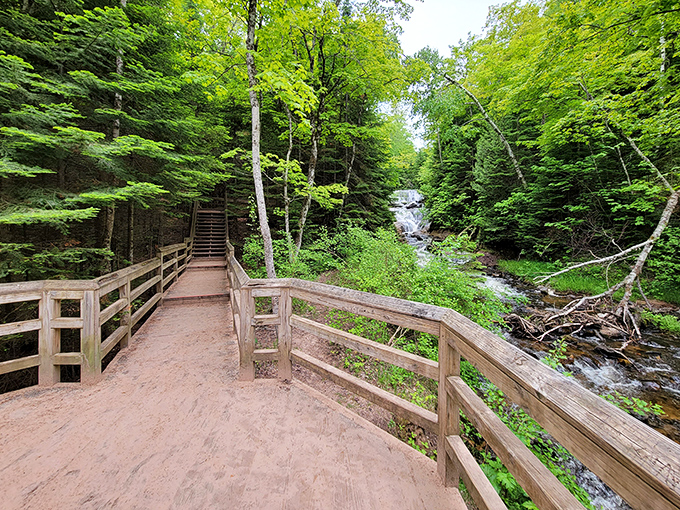 The viewing deck offers front-row seats to nature's greatest show, where visitors can safely marvel at the falls' hypnotic dance.