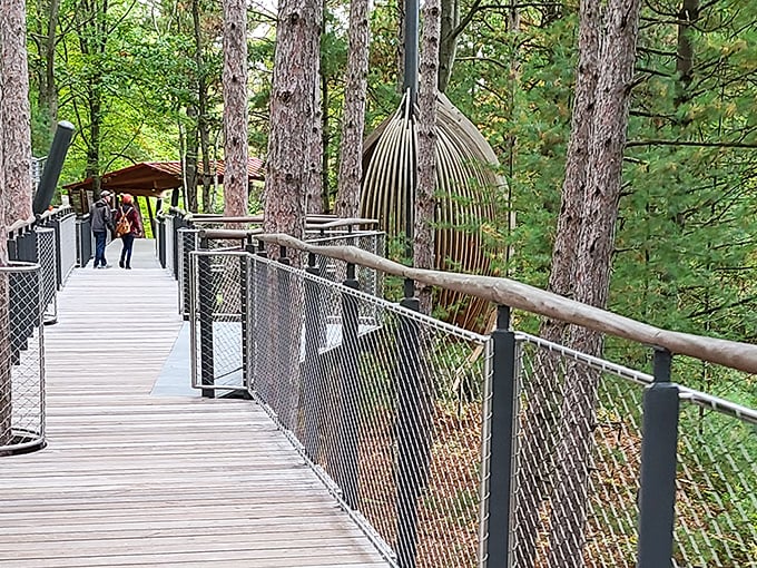 Wandering through the wooden cocoon-like structures feels like stepping into a fairytale forest hideaway.