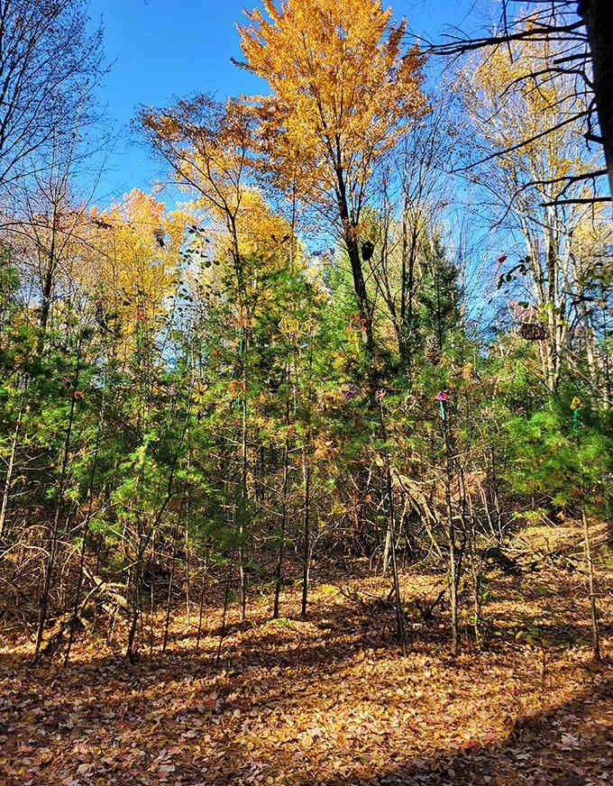 Fall transforms the sculpture park into a painter's palette of golden hues, where art peeks through autumn's fiery display.