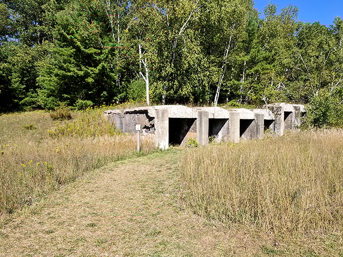These concrete remnants of charcoal kilns stand like ancient ruins, nature slowly reclaiming what humans once built with such certainty.