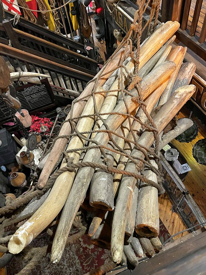 "Bundle of joy" takes on new meaning with this ancient tusk collection. Talk about heavy-duty home decor!