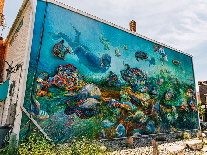 From this angle, the sunken ship reveals itself among the coral, a playful nod to Thunder Bay's maritime history hiding in plain sight.