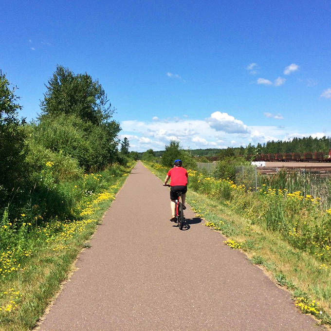 A lone cyclist disappears into the green embrace of Minnesota's forests, where the only traffic jam involves occasional squirrel crossings.