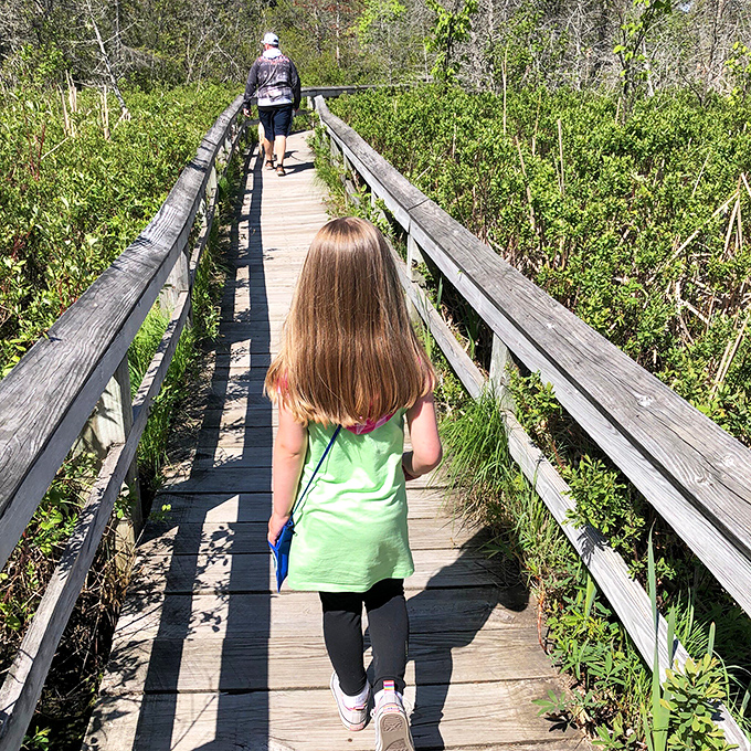 This boardwalk through the forest is like the opening credits to your perfect beach day, building anticipation with every wooden plank.