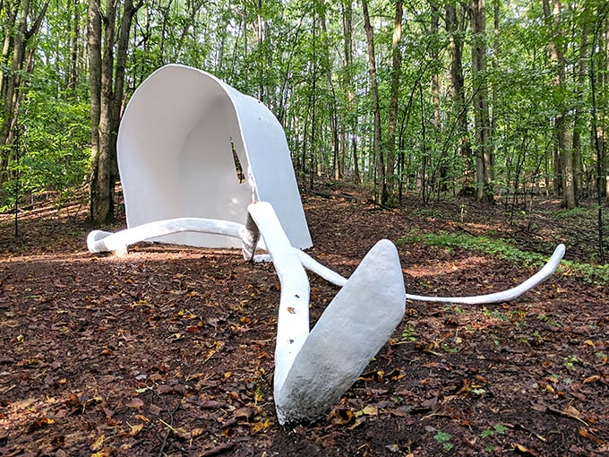"Bonnet" stands like a mysterious white sentinel in the woods, its smooth curves creating striking contrast against the textured forest floor.