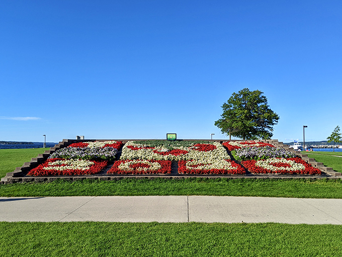 Clinch Park's floral display spells out civic pride in blooms so vibrant they make bees do double-takes on their pollination routes.