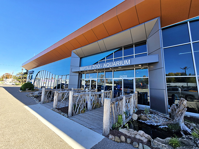 The modern entrance welcomes visitors into a world where cold-blooded creatures reign supreme and nobody apologizes for lacking fur.