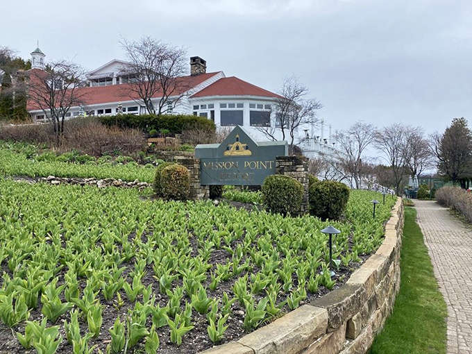 The Mission Point entrance welcomes you with manicured gardens that suggest someone here takes their landscaping very, very seriously, and we're all better for it.