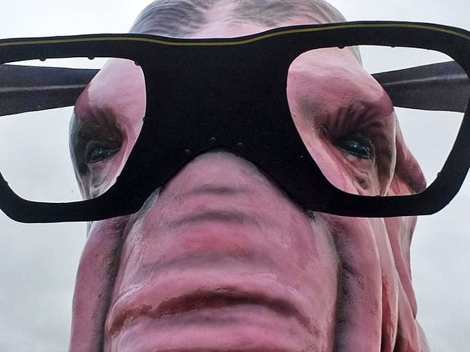 Those expressive eyes behind massive black frames seem to hold the wisdom of thousands of passing travelers and their road trip snack choices.