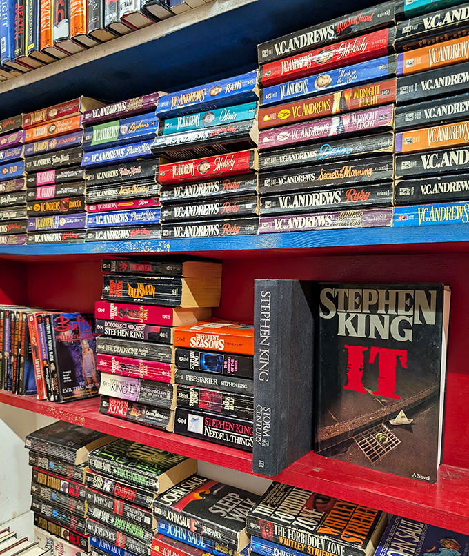 Fiction shelves burst with colorful spines, from V.C. Andrews' dramatic family sagas to Stephen King's nightmares &ndash; literary neighbors in this democratic space.