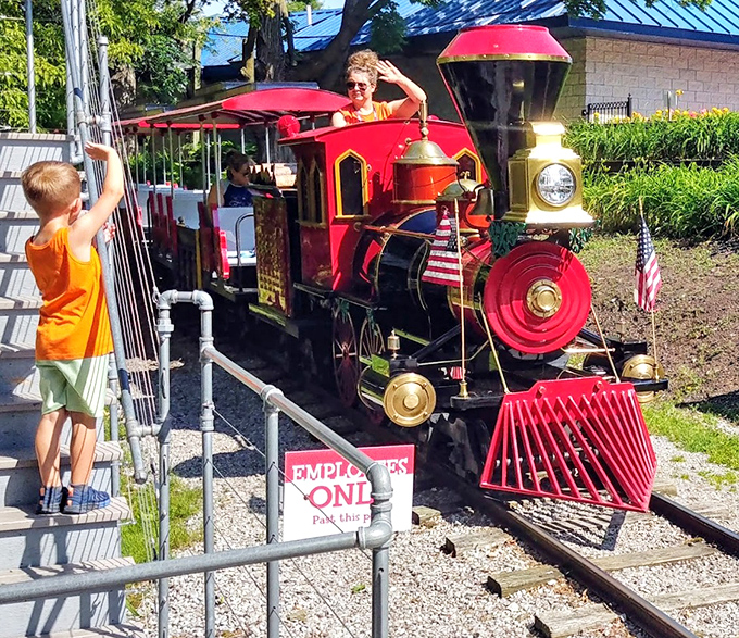 All aboard for adventure! The Iberschoff Special's polished brass and vibrant red paint make it the zoo's most photogenic resident.