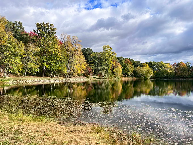 The lake mirrors the surrounding trees and sky so perfectly that you'll spend ten minutes trying to figure out which way is up in your photos.