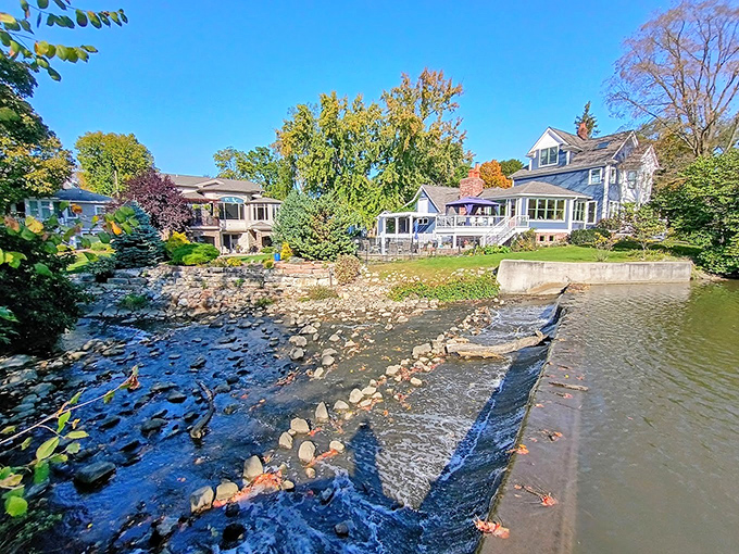 The gentle cascade of Mill Race Stream creates nature's soundtrack, a soothing alternative to the "ping" notifications we've somehow convinced ourselves are essential.