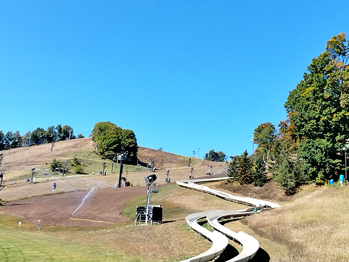 Summer transforms these winter ski runs into a playground of possibilities, where chairlifts carry hikers and thrill-seekers instead of skiers.