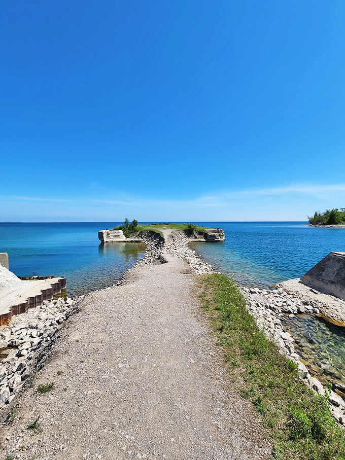 Pathway: Autumn leaves carpet this forest trail, creating a golden runway that beckons hikers deeper into Michigan's woodland cathedral.
