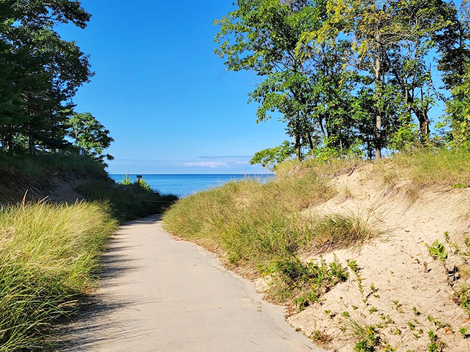 Pathway to Lake: Follow this sandy trail between dunes and you'll swear you're walking straight into a perfect postcard of Michigan summer.