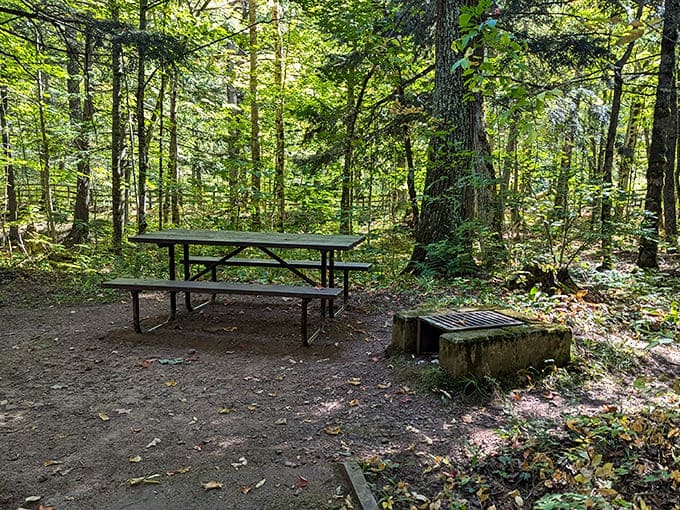 Lunch with a soundtrack of rushing water? This forest picnic area offers dining ambiance that no five-star restaurant could possibly match.
