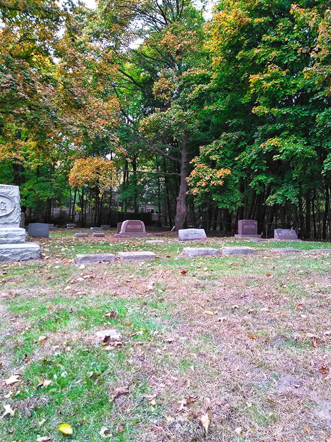 Dappled sunlight filters through ancient oaks, creating a peaceful sanctuary where history and nature embrace in quiet harmony.