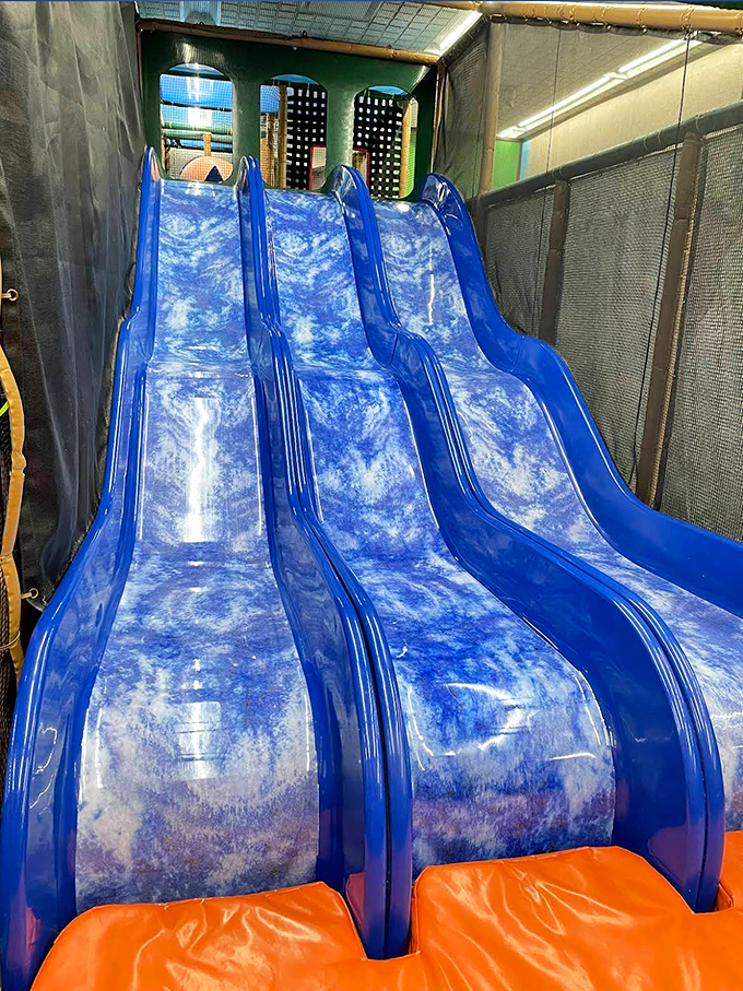 Blue slides twist and curve like frozen rivers, promising the perfect combination of thrill and safety for daring young adventurers.