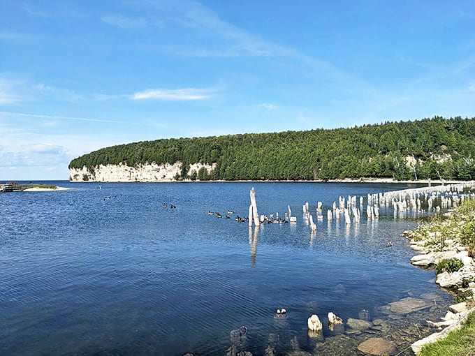 Snail Shell Harbor's tranquil waters mirror the sky, creating a natural haven where boats once bustled with industrial purpose.