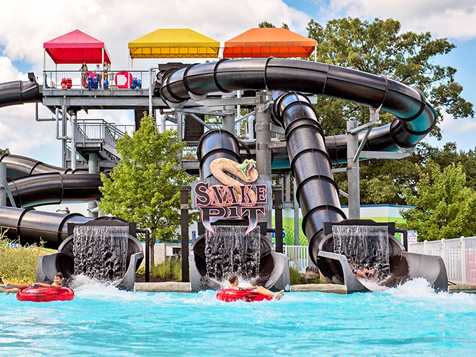 The Snake Pit slide complex isn't just a water ride &ndash; it's three intertwined tubes of terror that spit laughing victims into the pool below.