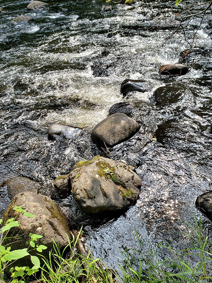 The river's surface dances over smooth stones, creating patterns that hypnotize better than any screensaver ever could.