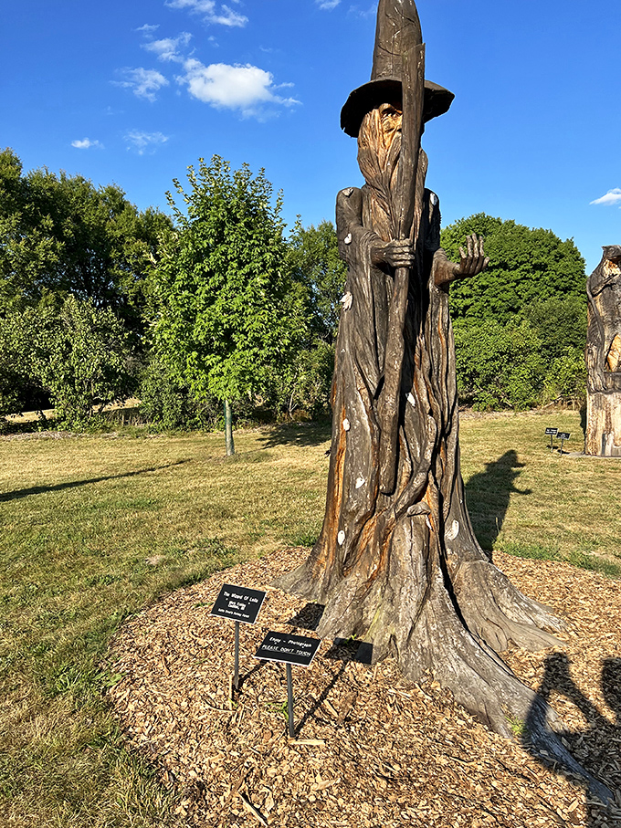 This wooden wizard might not cast actual spells, but his intricate details and thoughtful expression certainly cast a spell on visitors.