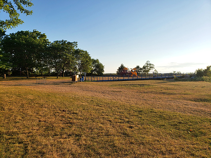 Tierney Park offers a peaceful green space where the only urgent notification is the gentle reminder that sometimes doing nothing is everything.