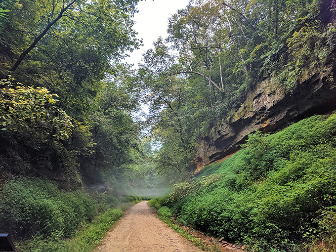 The trail winds through dramatic limestone cuts, where moss-covered walls create natural corridors perfect for cycling adventures.