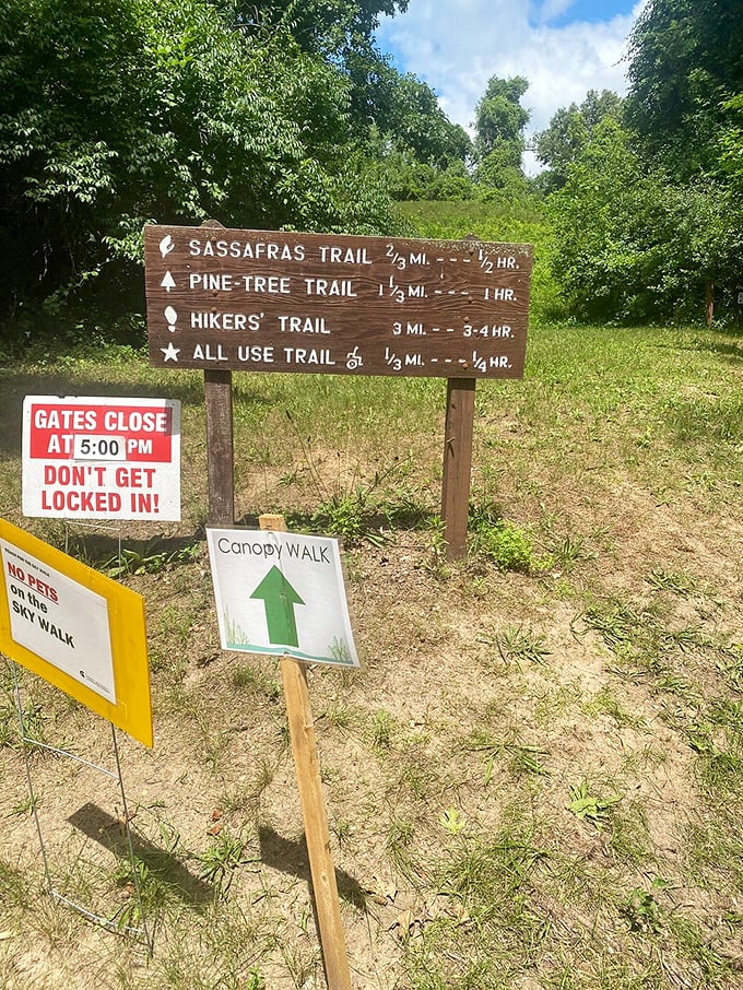 Trail markers point the way to various adventures &ndash; the "don't get locked in" sign adds that perfect touch of drama!