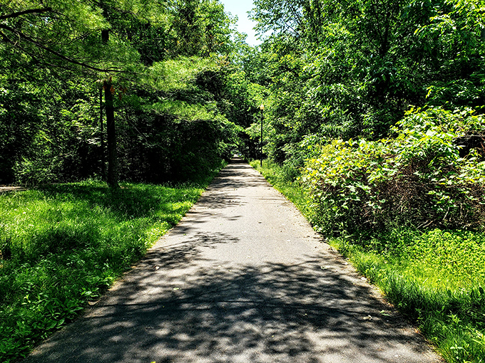 Trestle Park's winding pathways invite leisurely strolls through nature's gallery, where every season paints a different masterpiece for visitors to enjoy.
