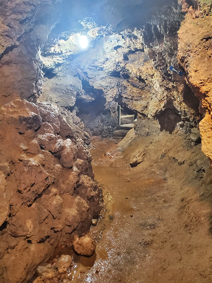 Tight squeeze adventure: Explorers navigate the narrower passages where bootleggers once stashed their prohibited spirits during the 1920s.