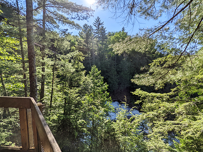 From this viewing deck, you'll witness the kind of natural spectacle that makes your smartphone camera weep with inadequacy.