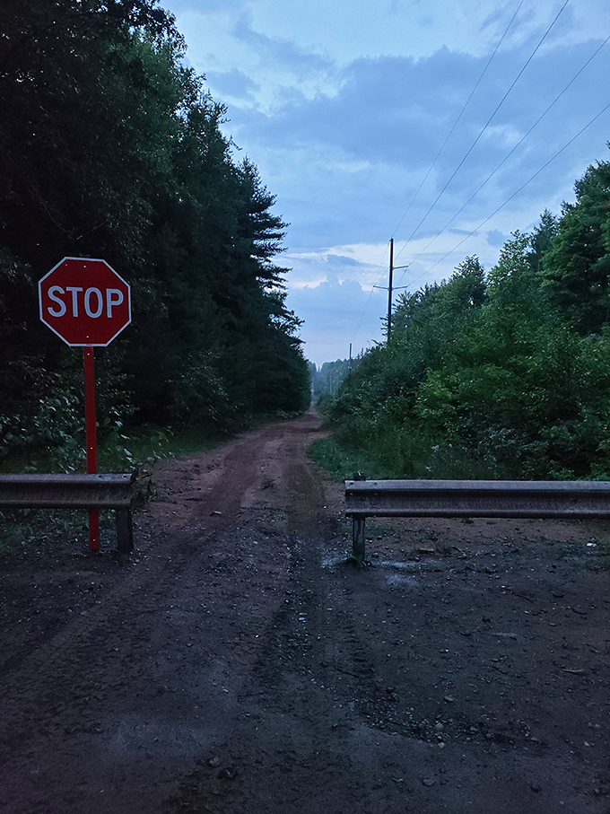 Where science meets folklore: this humble viewpoint transforms into front-row seats for Michigan's most enigmatic light show.