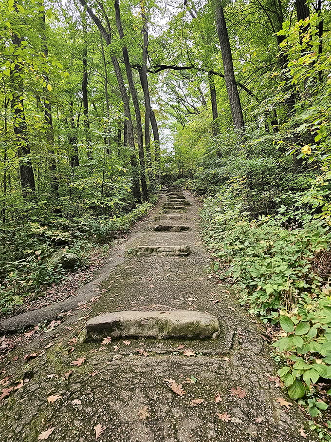 Stone steps lead through emerald forests on West Bluff Trail, where every turn reveals another postcard-worthy vista.