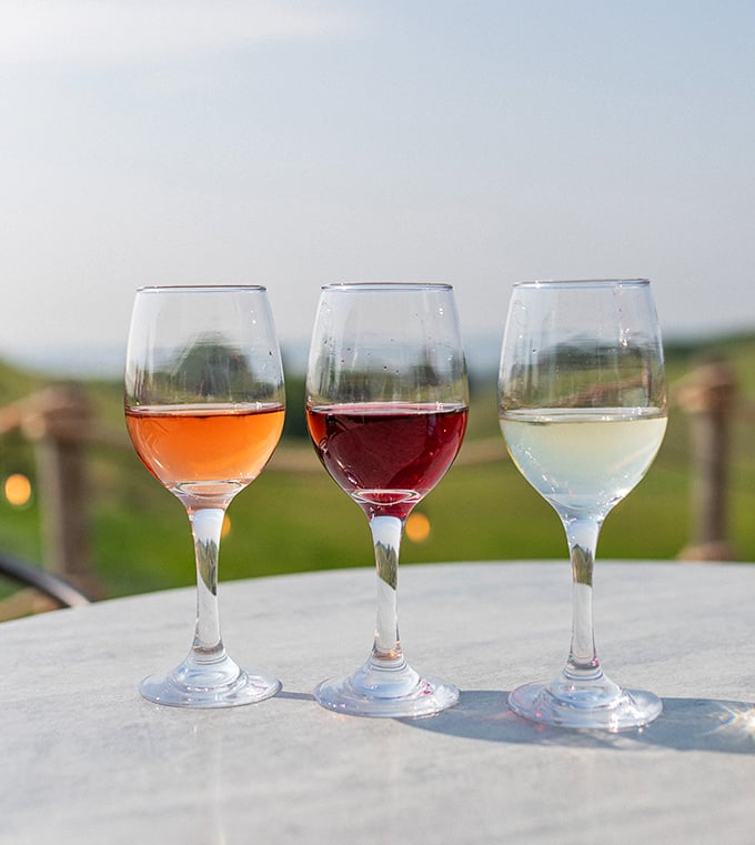 The wine flight of champions, showcasing Minnesota's ability to produce colors ranging from sunrise gold to sunset crimson in liquid form.