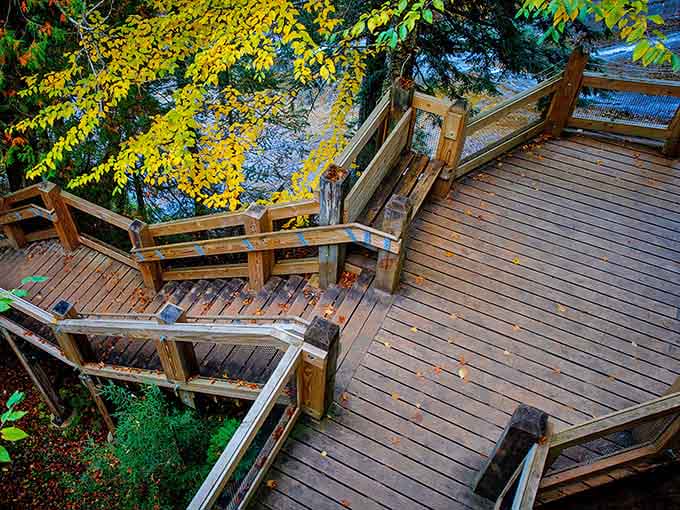This wooden observation deck isn't just practical – it's front-row seating to nature's greatest show, minus the ticket price.