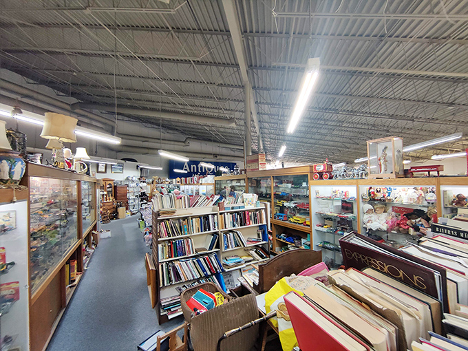 Vintage books line the shelves like soldiers of knowledge, their yellowed pages and faded spines holding stories both written and lived over generations.