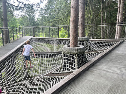 The World’s Longest Canopy Walk Is Right Here In Michigan, And It’s The ...