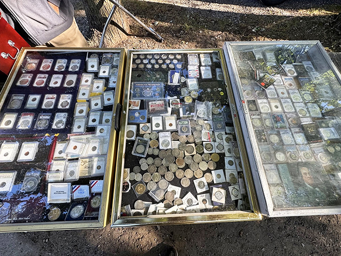 History buffs rejoice at this glittering display of numismatic treasures, where coins tell stories spanning centuries and continents.