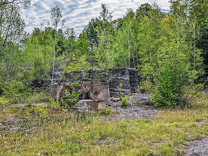 Concrete ruins peek through encroaching forest, nature's slow reclamation project turning industrial scars into an oddly beautiful post-apocalyptic landscape.