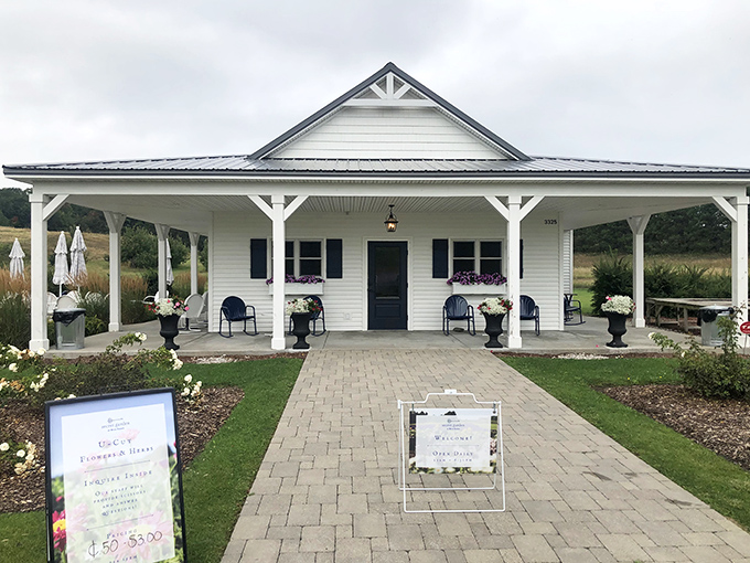 Farmhouse chic meets garden elegance at the gift shop entrance, where lavender adventures begin and credit cards surrender.