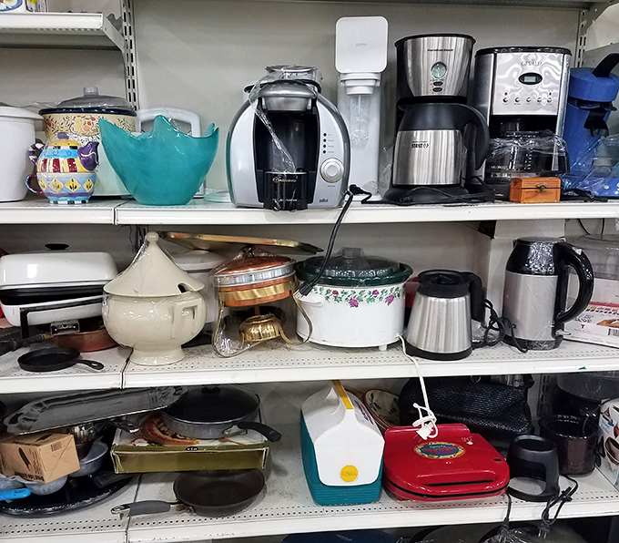 Kitchen appliances line the shelves like retired soldiers awaiting their next mission &ndash; from vintage coffee makers to bread machines ready for resurrection.