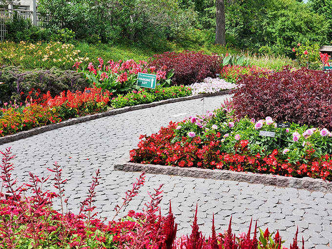Pathways lined with such perfectly manicured splendor, you'll wonder if the plants signed a contract promising to behave better than most humans.