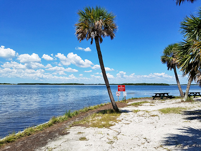 Palm trees lean like casual observers over this tranquil spot, nature's perfect waiting room between civilization and serenity.