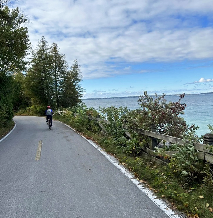 A solitary cyclist disappears around the bend, where forest shadows dance across the pavement and water sparkles like scattered diamonds.