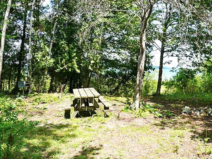 This humble picnic area might not look like much, but trust me – lunch tastes 300% better when eaten here.