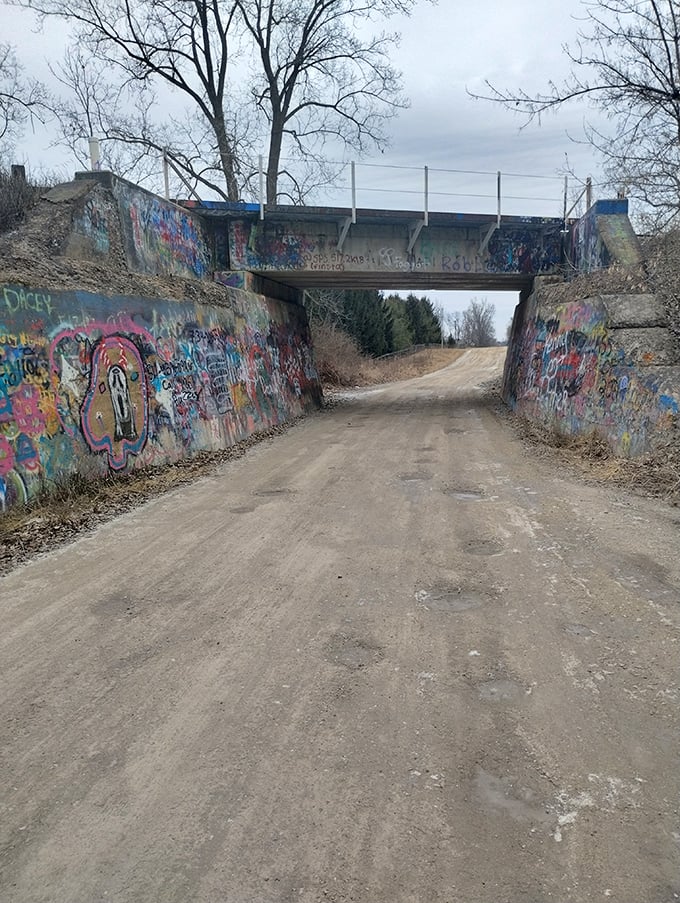 The vertical walls of the underpass create a perfect frame for artistic expression, with years of overlapping tags creating an unintentional masterpiece of urban art.
