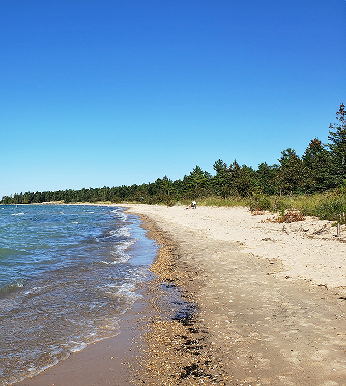 Footprints in the sand tell stories of explorers before you, while waves gently erase them for the next adventure.