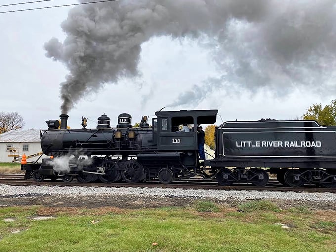 Steam locomotive No. 110 announces its presence with authority, its whistle cutting through the air like a time-traveling invitation.
